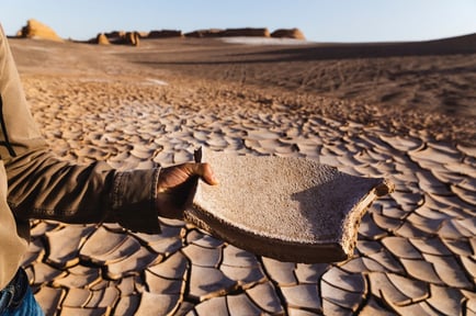 Environmental Health: What it is and Why it's Important